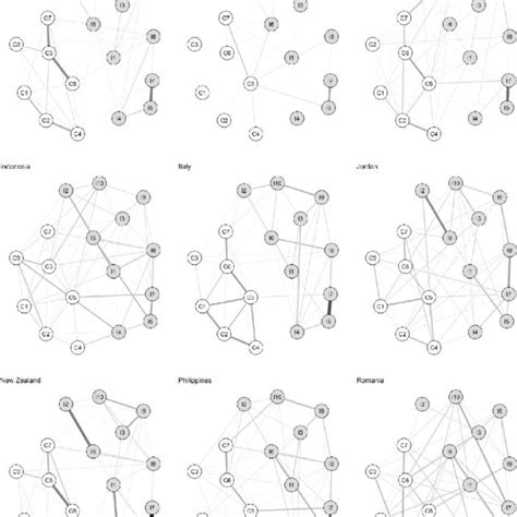 Country Specific Regularized Partial Correlation Networks Note White