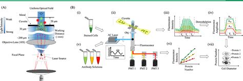 Figure 1 From Development Of A Microfluidic Flow Cytometer With A