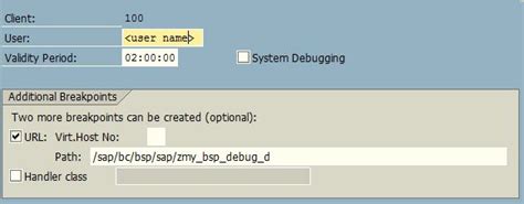 how to debug a bsp application a tutorial sap blogs