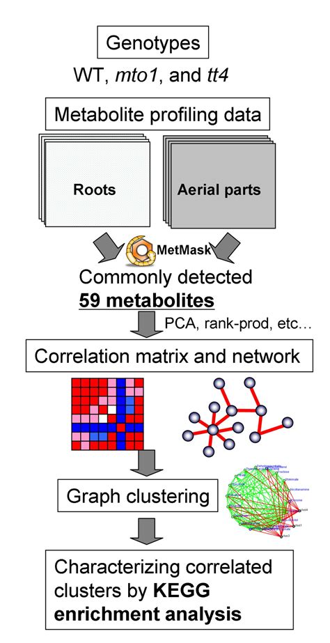 Metabolomic Correlation Network Modules In Arabidopsis Based On A Graph