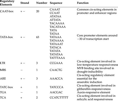 Cis Regulatory Elements In The Promoter Of Mstert Gene Download