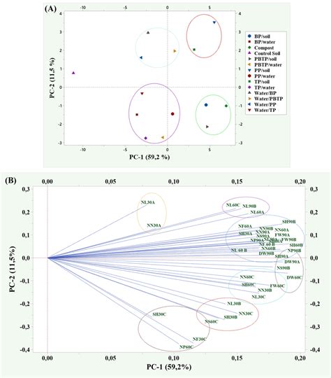 Statistical Correlations A Principal Component Analysis Of Pp Bp Tp