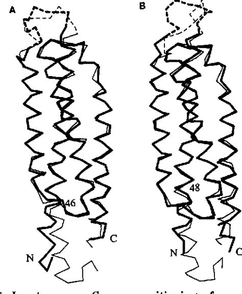 Figure 1 From The Three Dimensional Structure Of The Ligand Binding
