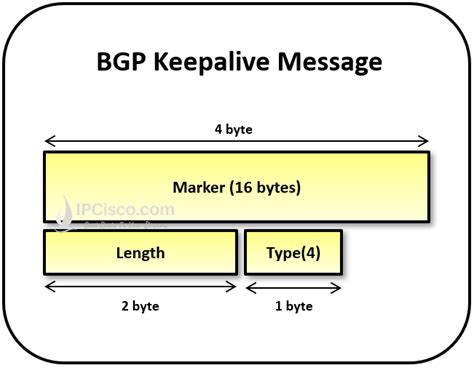 Bgp Peers Bgp Sessions Bgp Messages ⋆ Ipcisco