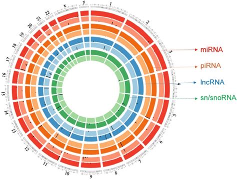 Circos Plot Incorporating Differential Expressions Of All Small