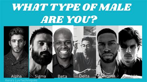 The Male Socio Sexual Hierarchy Personality Types Youtube