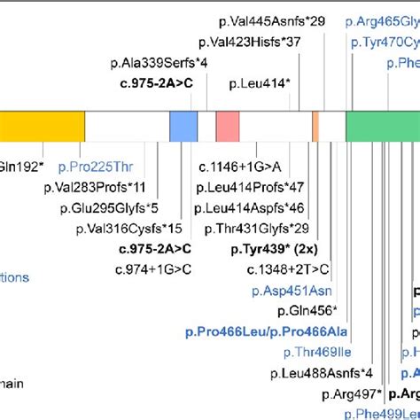 Pathogenic Missense Mutations In The Foxp1 Dna Binding Domain A