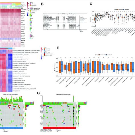 Two M 6 A Methylation Modification Patterns With Distinct Immune Cell