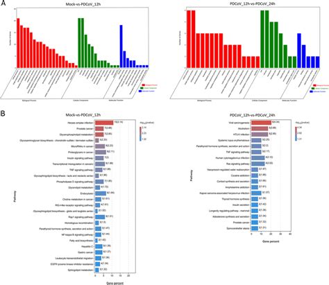 Go Function Classification And Kegg Pathway Enrichment Results Of The