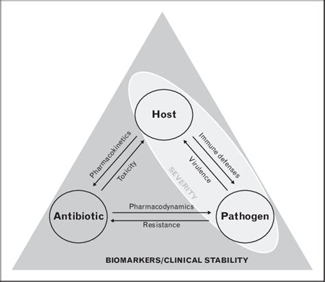 Interaction Among Host Pathogen And Antibiotic Characteristics In