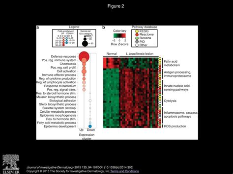 Genomic Profiling Of Human Leishmania Braziliensis Lesions Identifies