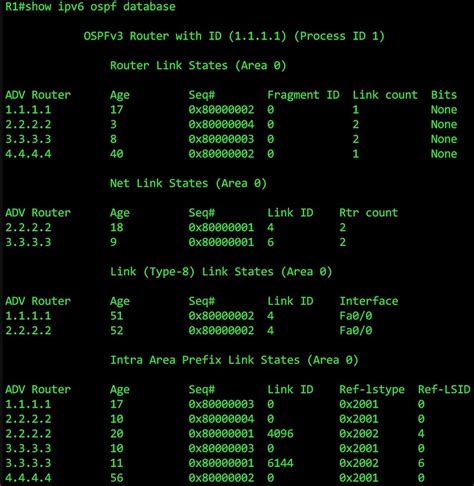 Ospfv3 Lsa Database