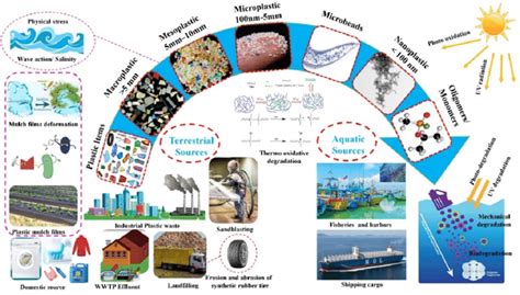 Nano And Microplastic Accumulation Sources With The Encircled Dotted