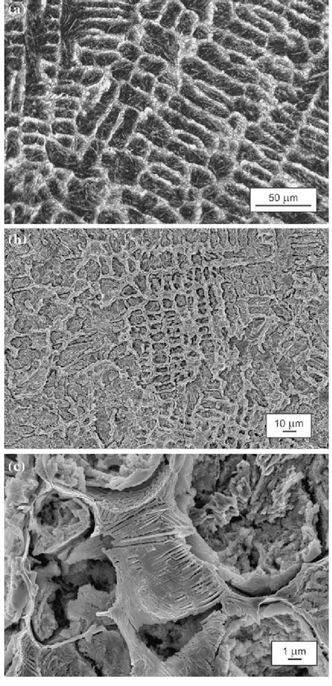 A Optical Micrograph Of The Dendritic Structure Of The As Cast Fe 86 7