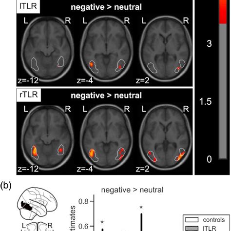 Emotional Modulation Within Groups A T‐values Of Whole‐brain T‐tests