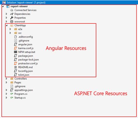 create report viewer component in angular app with asp core