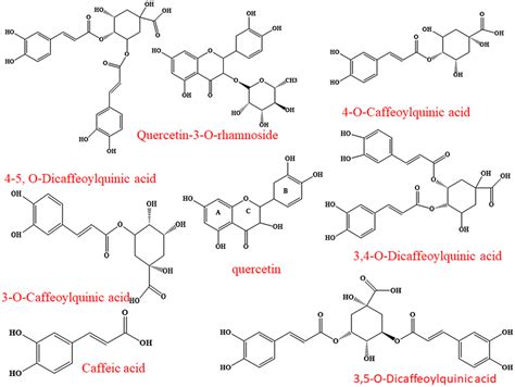 Chemical Structures Of Major Bioactive Compounds Identified In Stevia