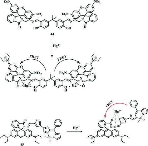 Colorimetric And Fluorometric Probes For The Optical Detection Of
