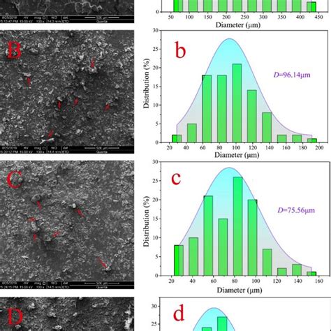 Fig S2 The Scanning Electron Micrographs Sem Of Undigested Sample