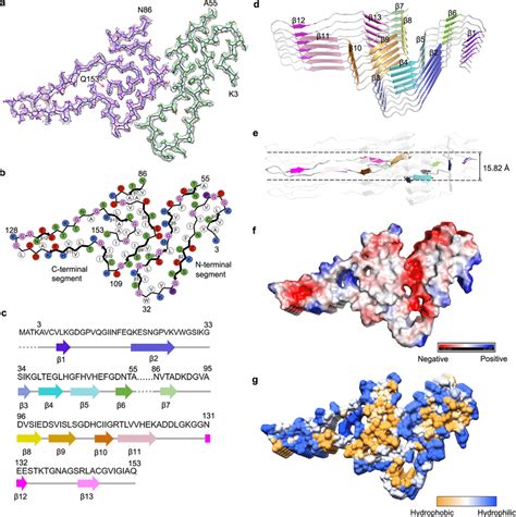 Atomic Structure Of Sod1 Fibril A Cryo Em Map Of An Amyloid Fibril From