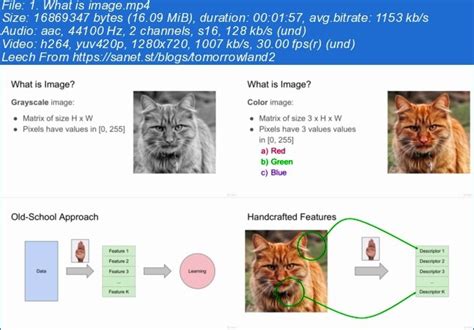 download modern deep convolutional neural networks with