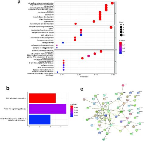 Functional Enrichment Analysis Of The Cerna Network A Go Enrichment