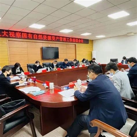 市人大常委会视察组对我市2021年国有自然资源资产管理情况进行视察 生态 相关 新发展