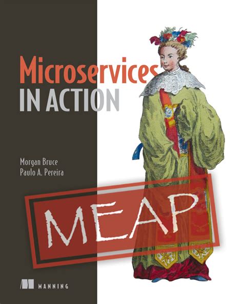 author developer speaker