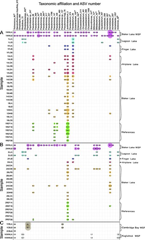 Relative Abundance Of Amplicon Sequence Variants Asvs Present At