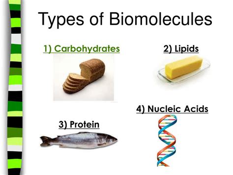 Ppt Biomolecules Powerpoint Presentation Free Download Id 6019317