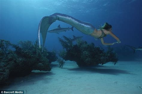 Making A Splash Real Life Mermaid Swims With Reef Sharks Using £10k