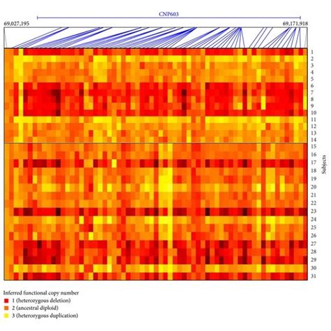 Schematic Representation Of Log⁡r Ratios Of The Ugt 2b Gene Regions