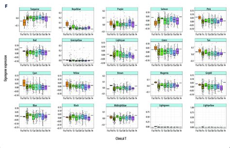 The Correlation Between These Modules And Clinical Features A