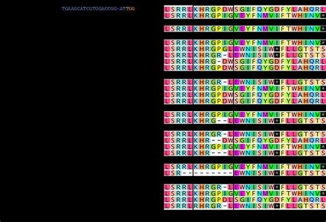 Partial Alignment Of Nucleotide Sequences Of The Vinv Gene And Partial