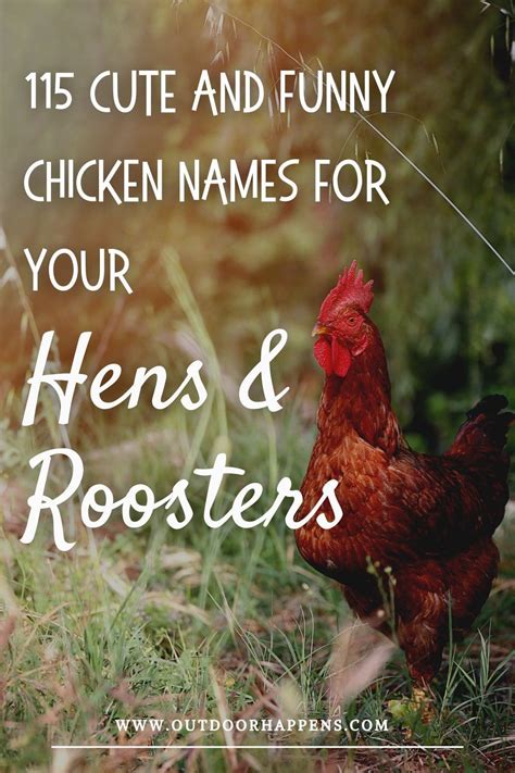 313 Cute And Funny Chicken Names Almighty List For Hens And Roosters