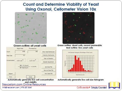Count And Determine Viability Of Yeast Using Oxonol Cellometer Vision 10x