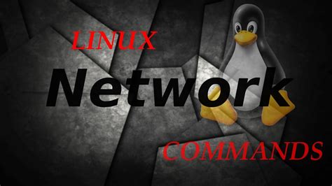 6 Basic And Useful Linux Networking Commands Youtube