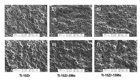 Morphology Of The Oxide Layers Obtained By Mao In The Samples As Cast