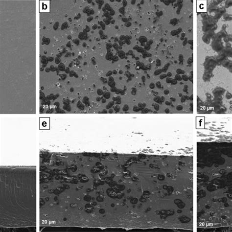 Scanning Electron Micrographs Sem And Cross Section Of The Surface Of