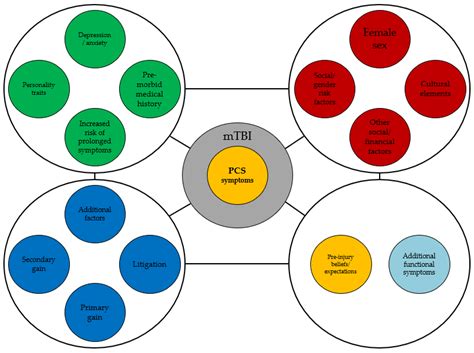 brain sciences free full text functional overlay model of