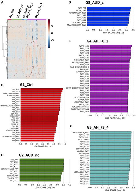Pathway Analysis Of The Gut Metagenome A Hierarchical Clustering Of
