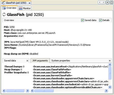 java visualvm