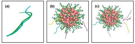 Ijms Free Full Text Molecular Dynamics Simulations Of A Catalytic