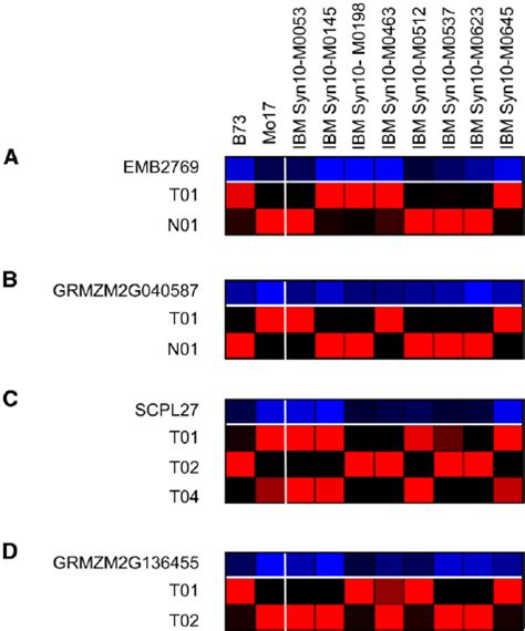 Relative Expression Level Of Isoforms For Genes With Differ Ential