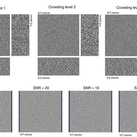 Simulated Cryo Electron Tomograms Of Crowded Cellular Environments At