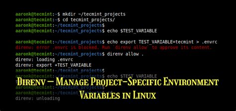 裸 direnv manage project specific