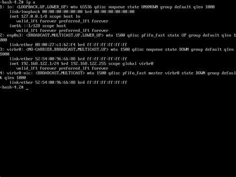 help with virtualbox linux network setup specific errors and