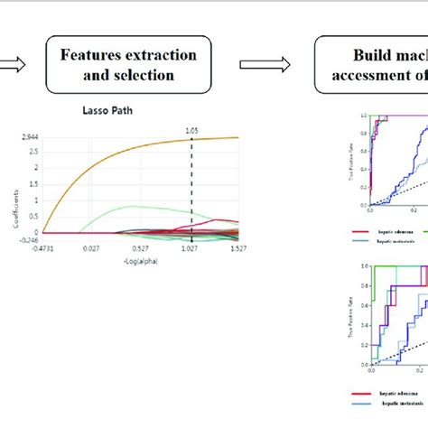 lasso althorithm on feature selection a lasso path b mse path
