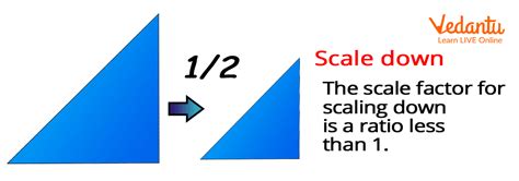 Scaling In Math Definition Types And Examples
