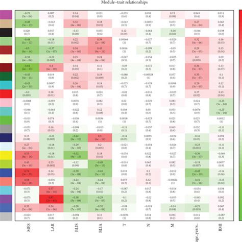 Identification Of Significant Gene Modules A Clustering Dendrograms